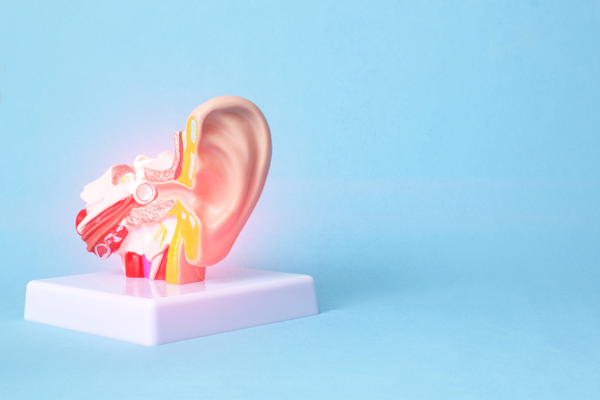 Tinnitus Relief: Understanding Causes and Effective Solutions – ITL Health